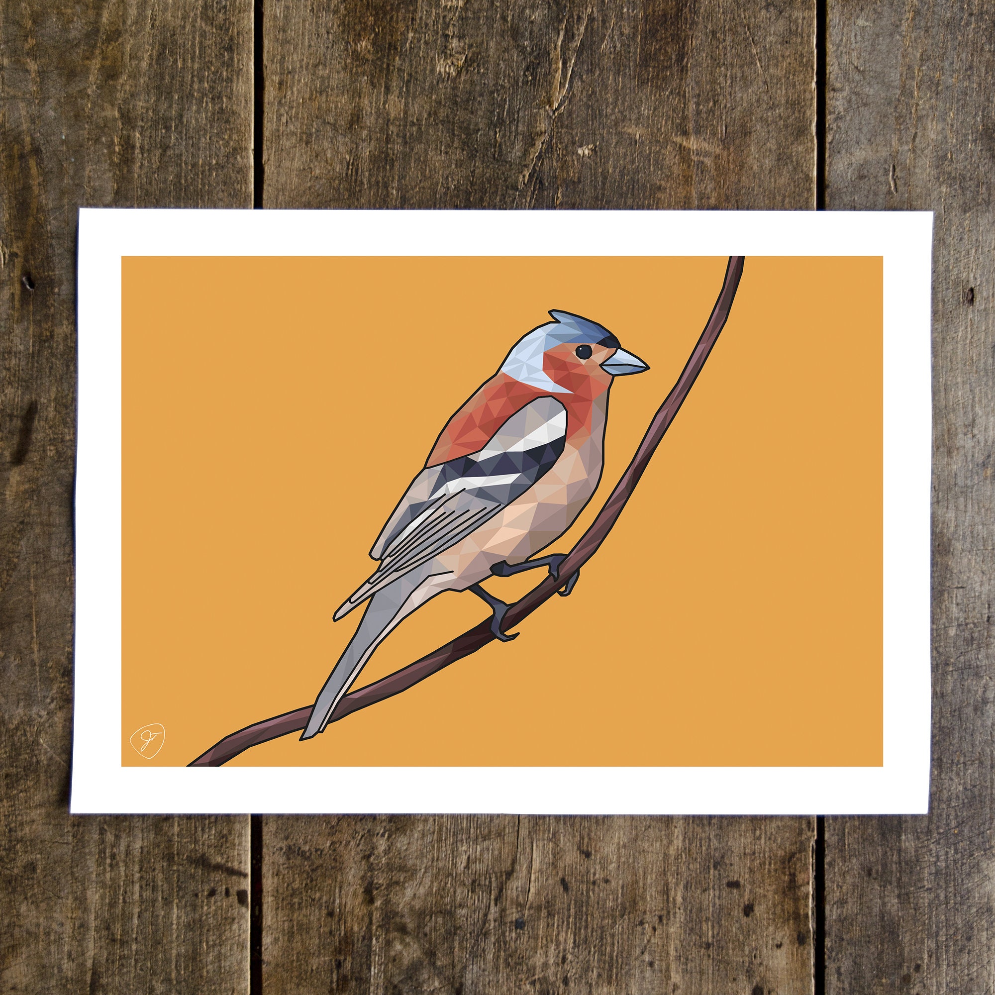 Chaffinch Art Print Bird Artwork - Etsy