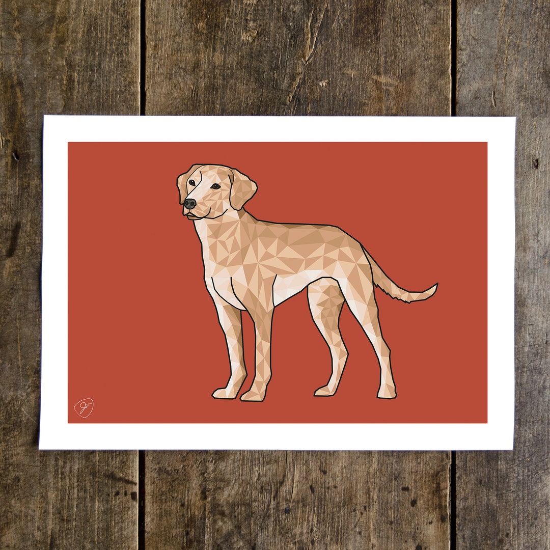 Golden Lab Print - Labrador Artwork - Dog Art - Andrex Puppy - Etsy