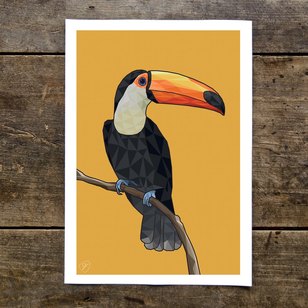 Toucan Art Print - Tropical Birds - Jungle Bird - Etsy