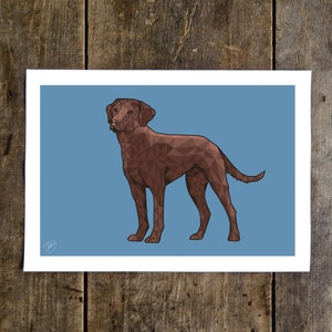 Chocolate Lab Print - Labrador Artwork - Dog Art - Etsy