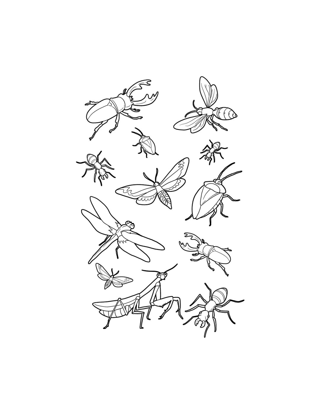 Bug Coloring Page / Bugs and Insects Printable / Digital Download ...