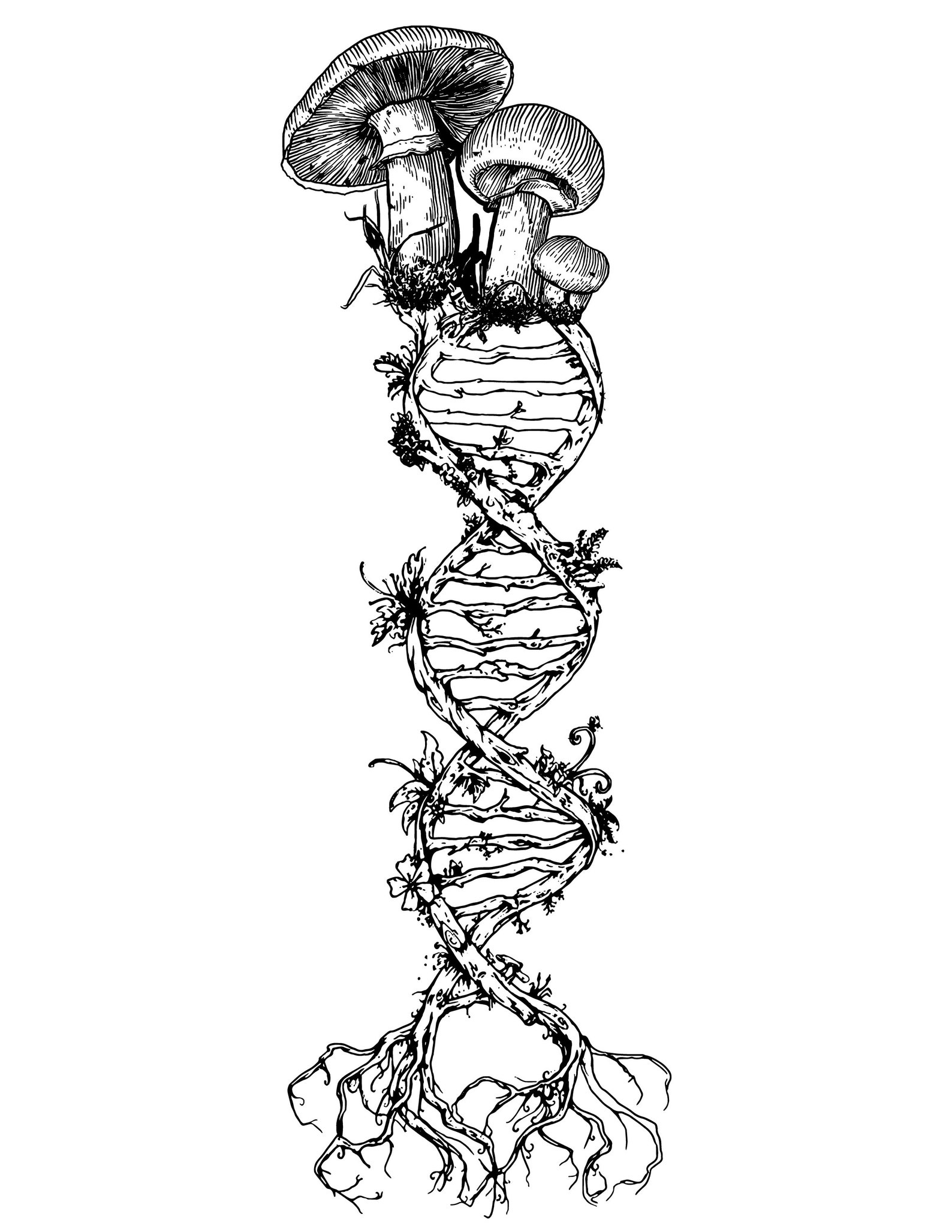 Printable Mushroom DNA Coloring Page / Mushroom Forest Art / Digital ...