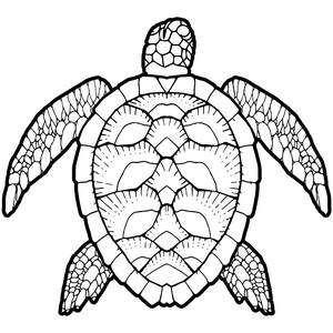 Printable Sea Turtle Save the Ocean / Save the Planet / Digital ...