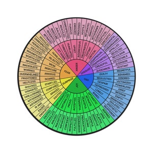 Feelings Wheel Rug 5 Ft / Emotions Wheel Round Floor Mat / Therapy Tool ...