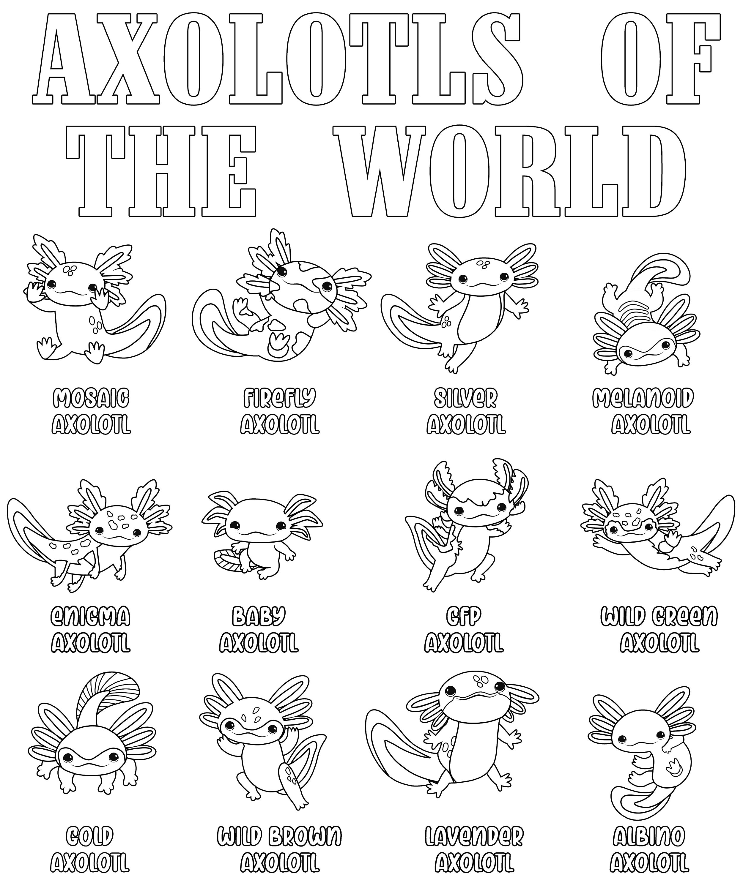 Cute Axolotl Coloring Page / Digital Download / Axolotls Kawaii Kids ...