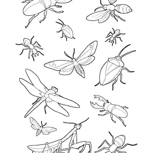 Bug Coloring Page / Bugs and Insects Printable / Digital Download ...