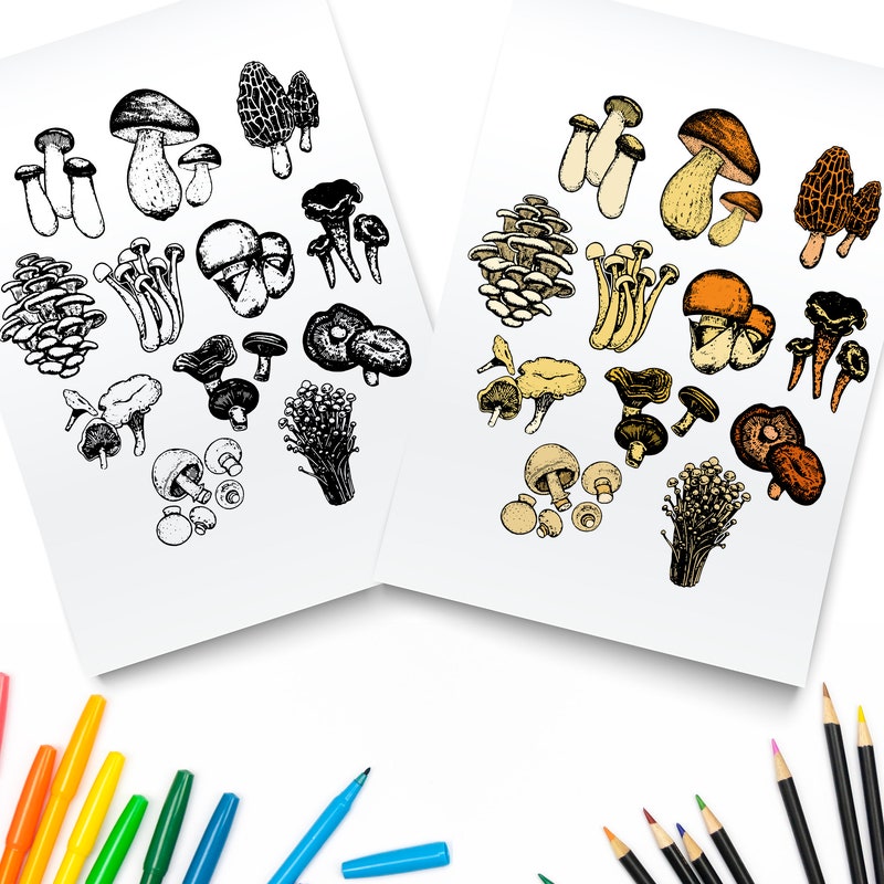 Downloadable Fungi Coloring - Etsy