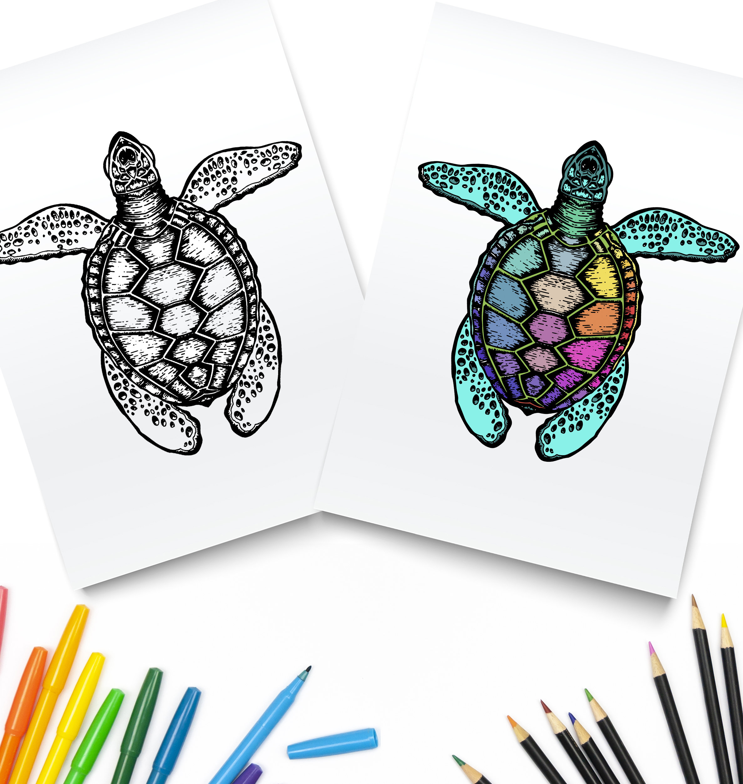 Sea Turtle Coloring Page / Sea Life Coloring Book / Printable Digital ...