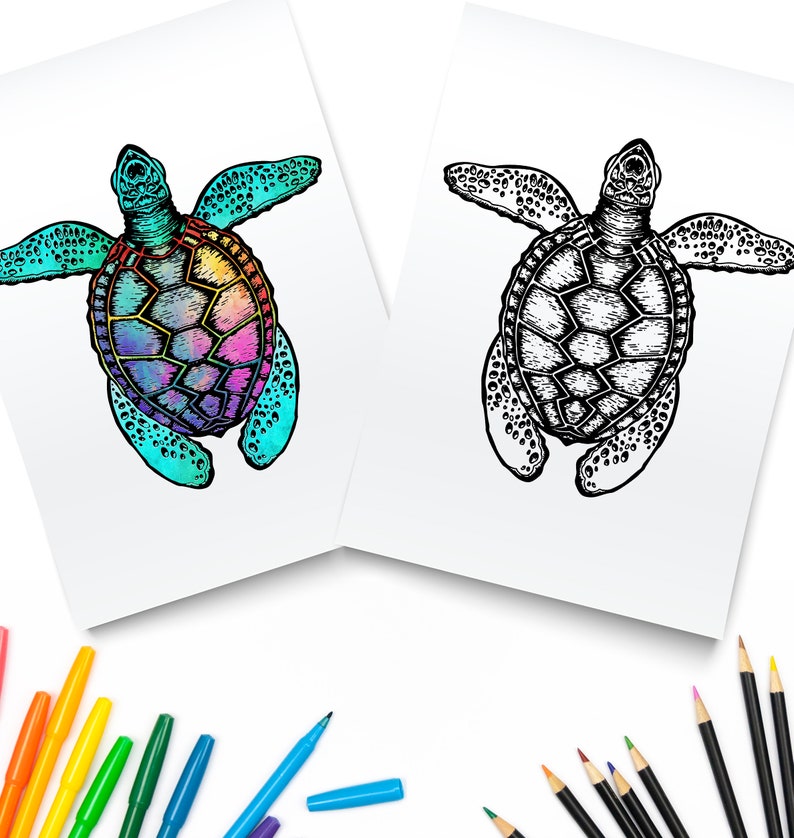 Sea Turtle Coloring Page / Sea Life Coloring Book / Printable | Etsy