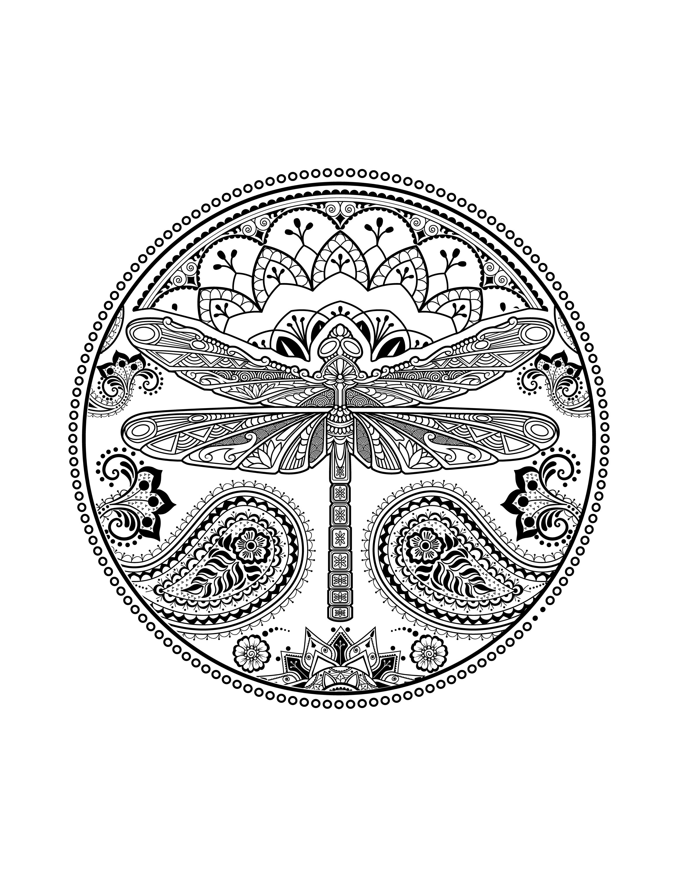 Mandala Dragonfly Printable Coloring Pages / Instant Download / Nature ...
