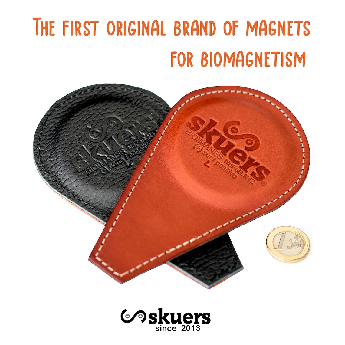 Magnets for Biomagnetism 11000 Gauss Biomagnetic Pair of Dr. Goiz ...