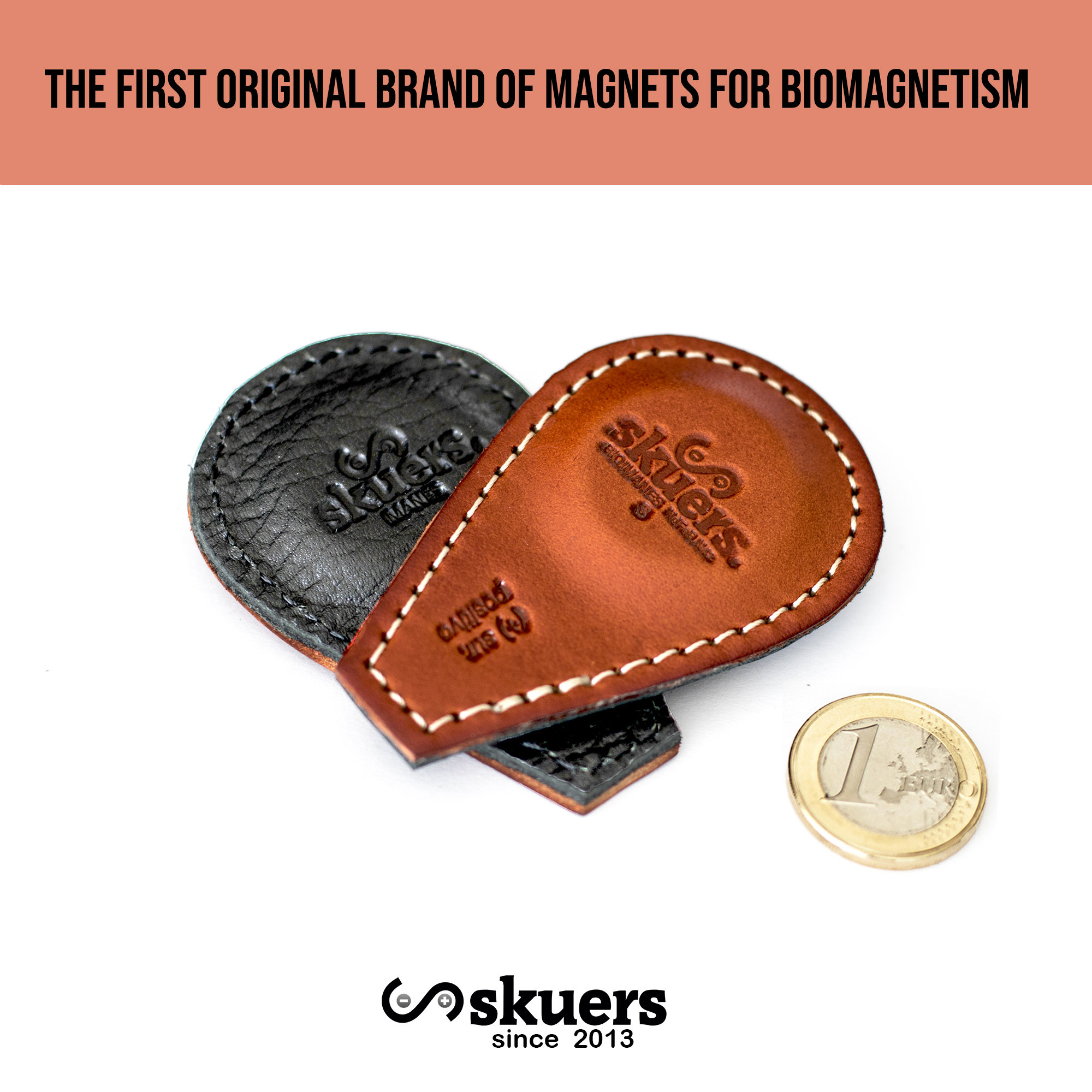 Magnets for Biomagnetism 5 625 Gauss Biomagnetic Pair of Dr. Goiz ...