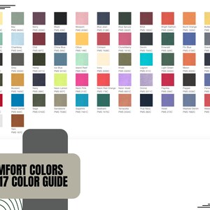 Comfort Colors This Ones for the Losers Shirt, Losers Shirt, Malone ...