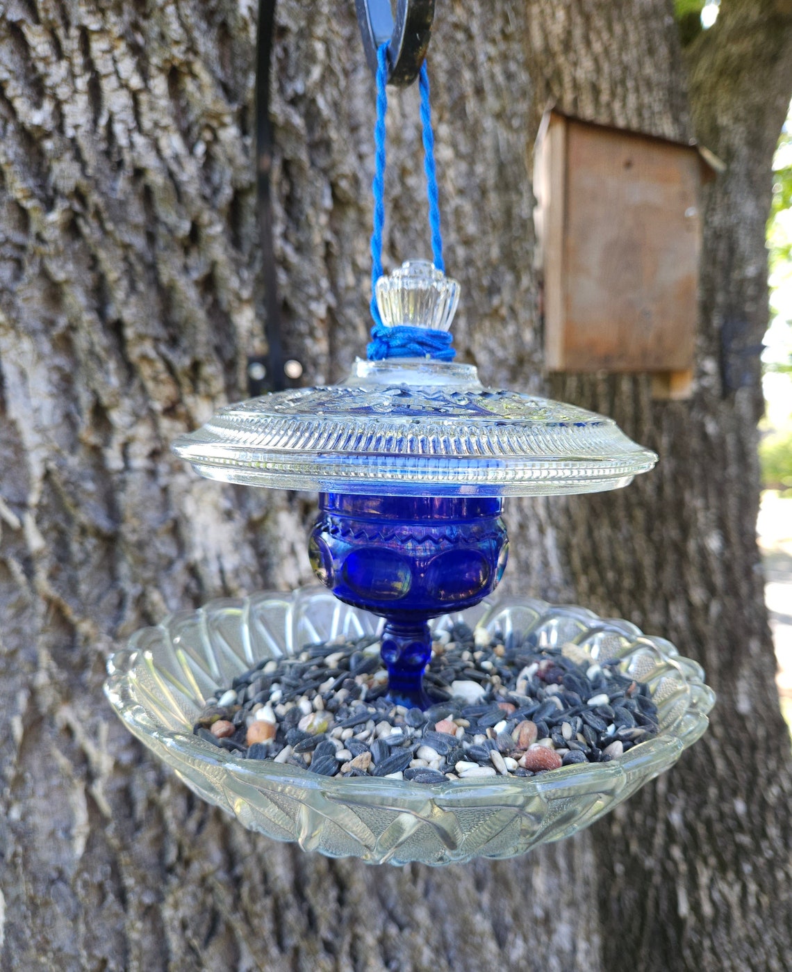 Hanging Vintage Cobalt Blue Glass Bird Feeder. Birds Love It - Etsy