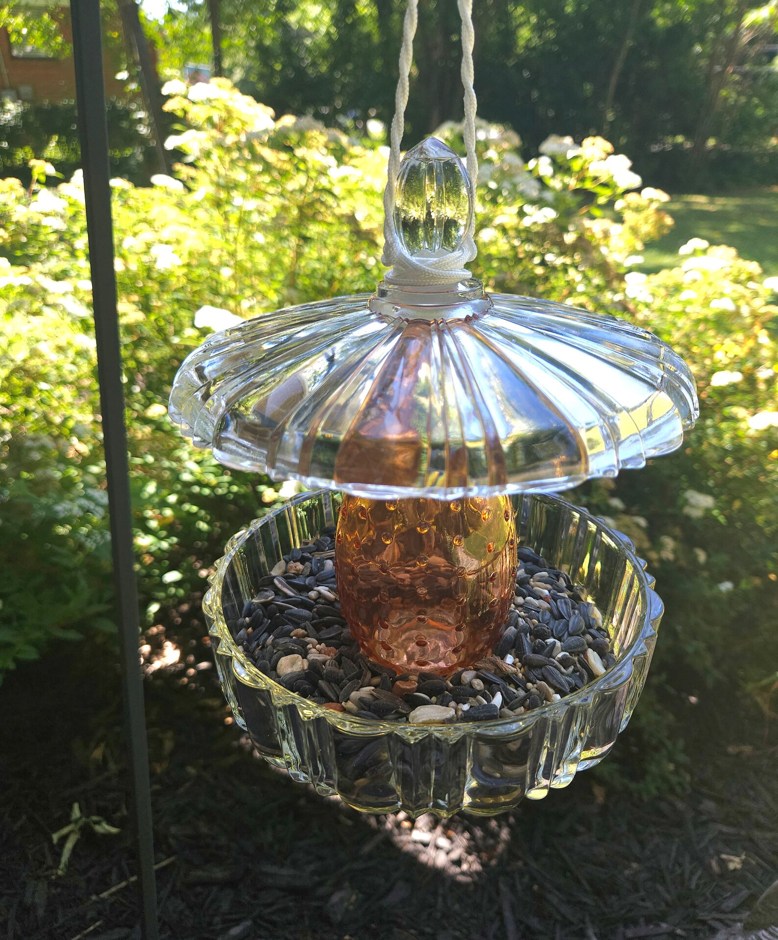 Hanging Vintage Peach Glass Bird Feeder. Birds Love It Sparkling in the ...