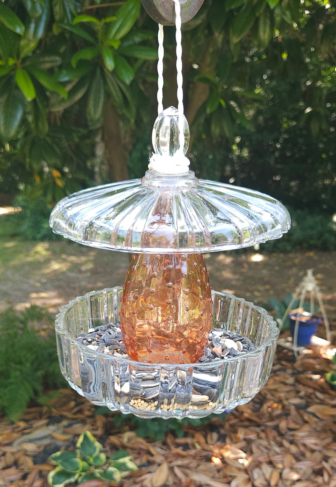 Hanging Vintage Peach Glass Bird Feeder. Birds Love It Sparkling in the ...
