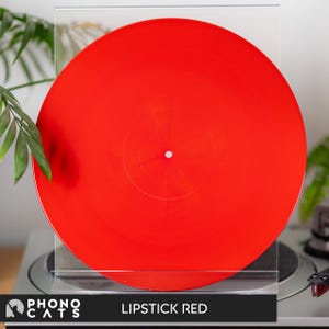 Custom Vinyl Record Mixtape: Personalized Music Gift, Poster Insert ...