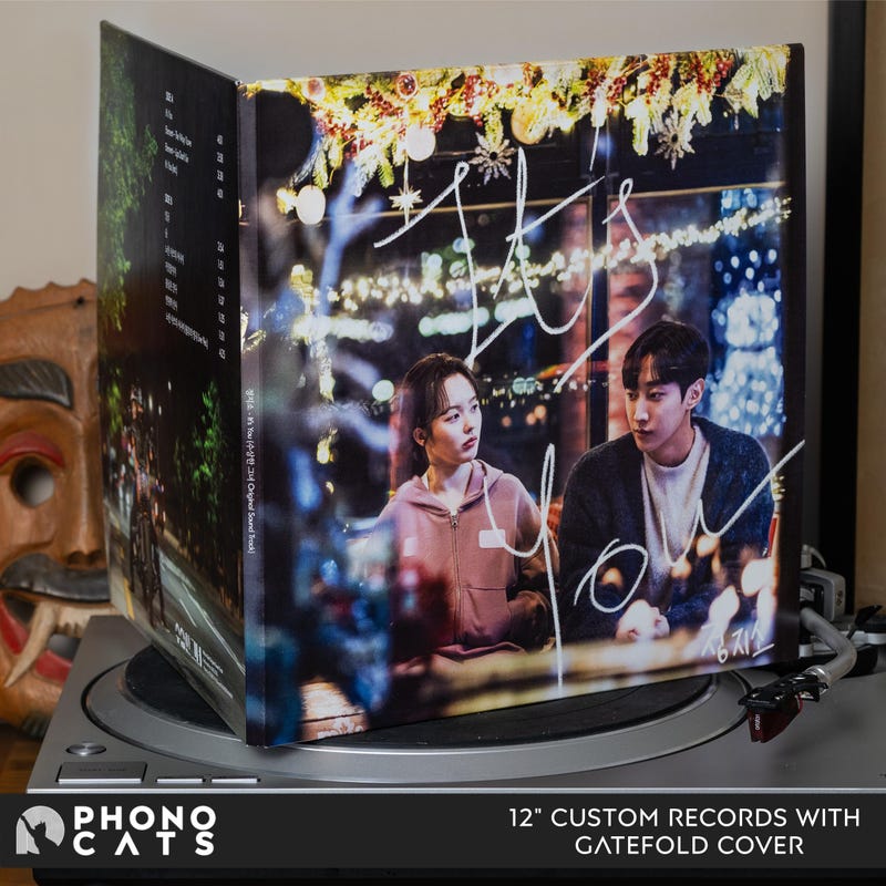 Custom Gatefold Record - Etsy