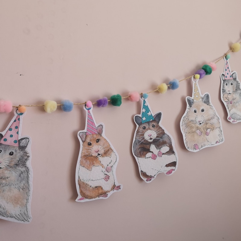 Hamster Birthday - Etsy