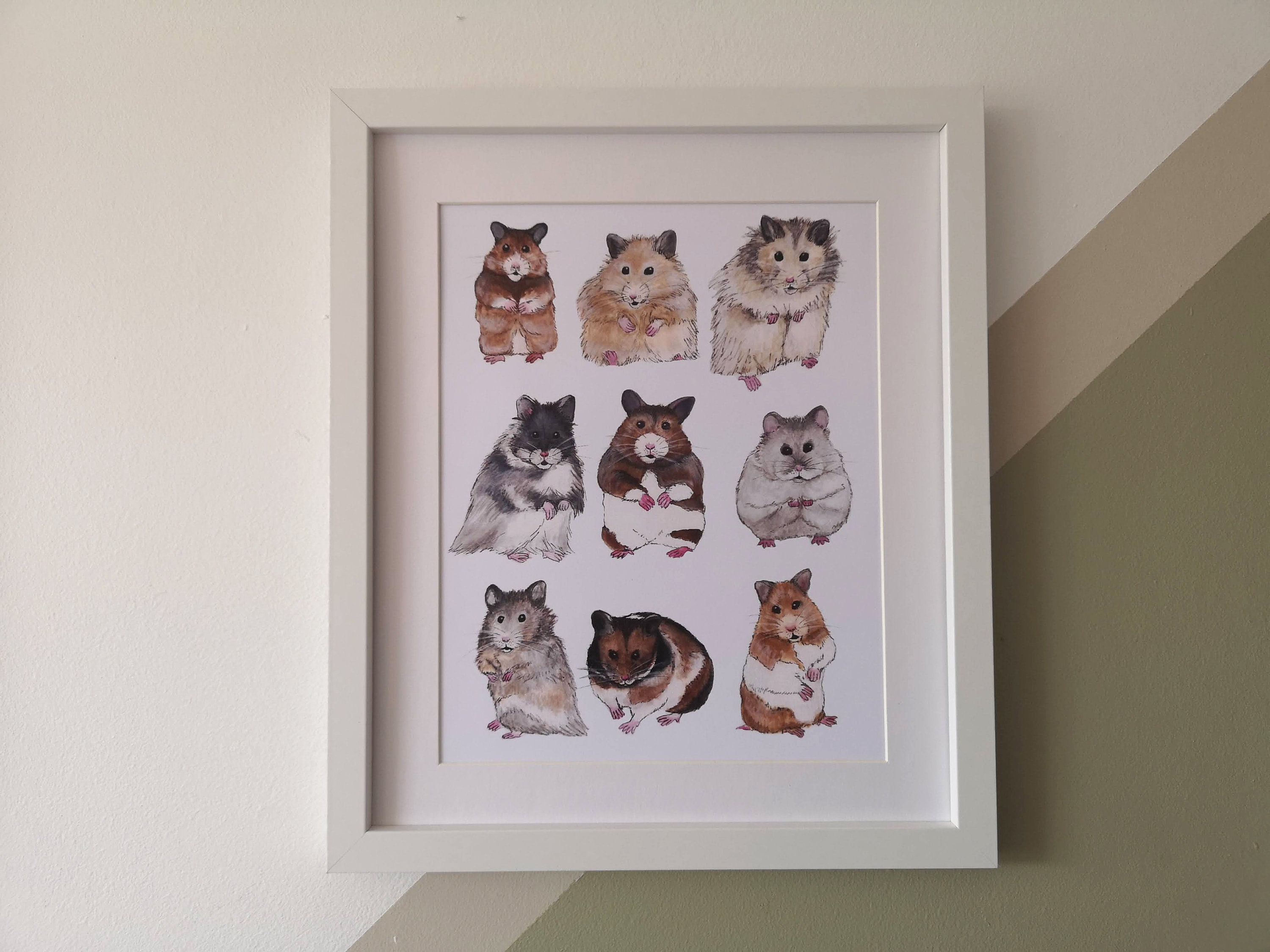 Hamsters Art Print Hamsters Illustration Pet Hamsters - Etsy