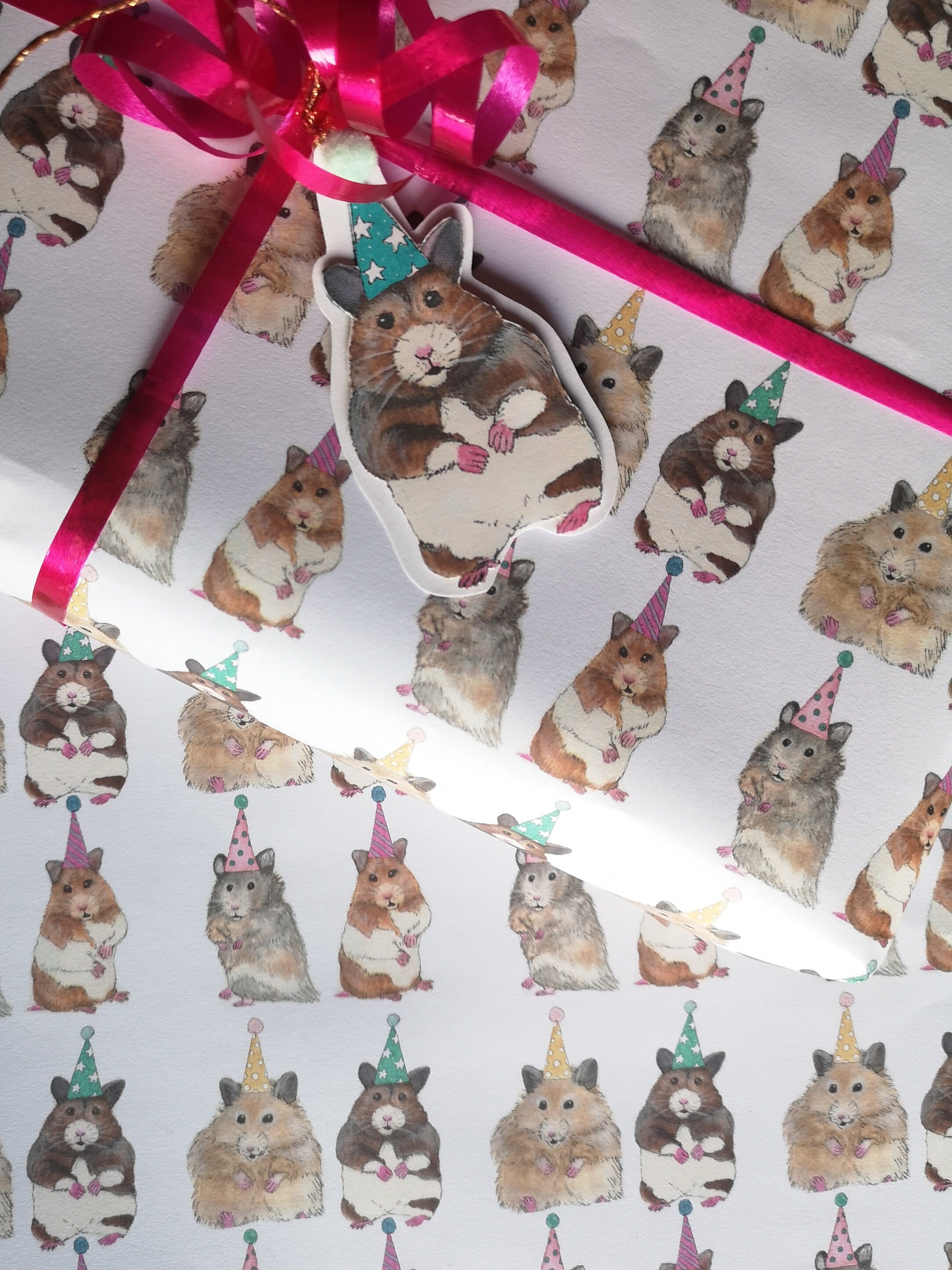 Hamster Birthday Party Wrapping Paper Hamster Gift Wrap - Etsy UK
