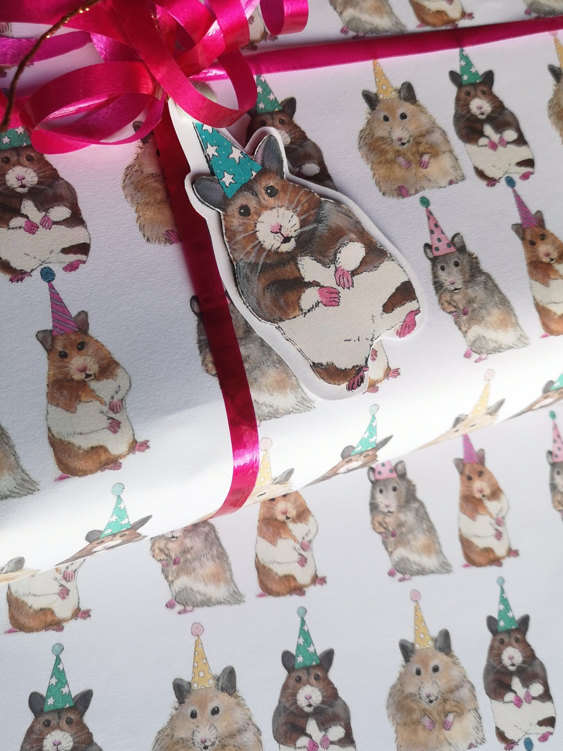 Hamster Birthday Party Wrapping Paper Hamster Gift Wrap - Etsy UK