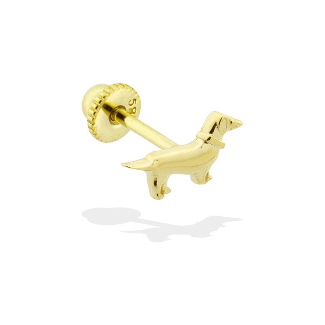 Dog Piercing, 14K Solid Gold Tragus Piercing, Cartilage Earring, Solid ...