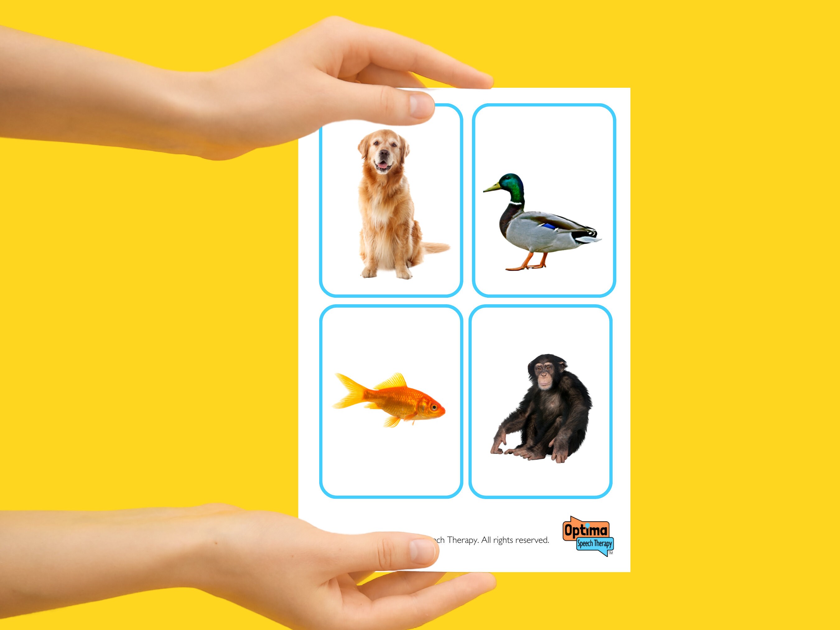 ANIMALS Flashcards Printable Cards Speech Therapy Speech Pathology ...
