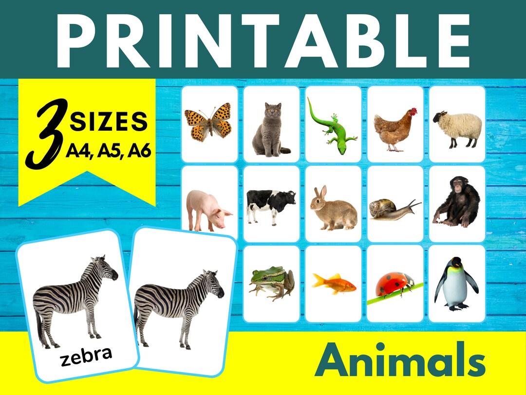 ANIMALS Flashcards Printable Cards Speech Therapy Speech Pathology ...