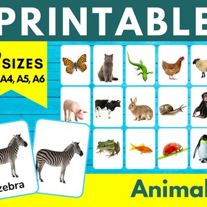 ANIMALS Flashcards Printable Cards Speech Therapy Speech Pathology ...