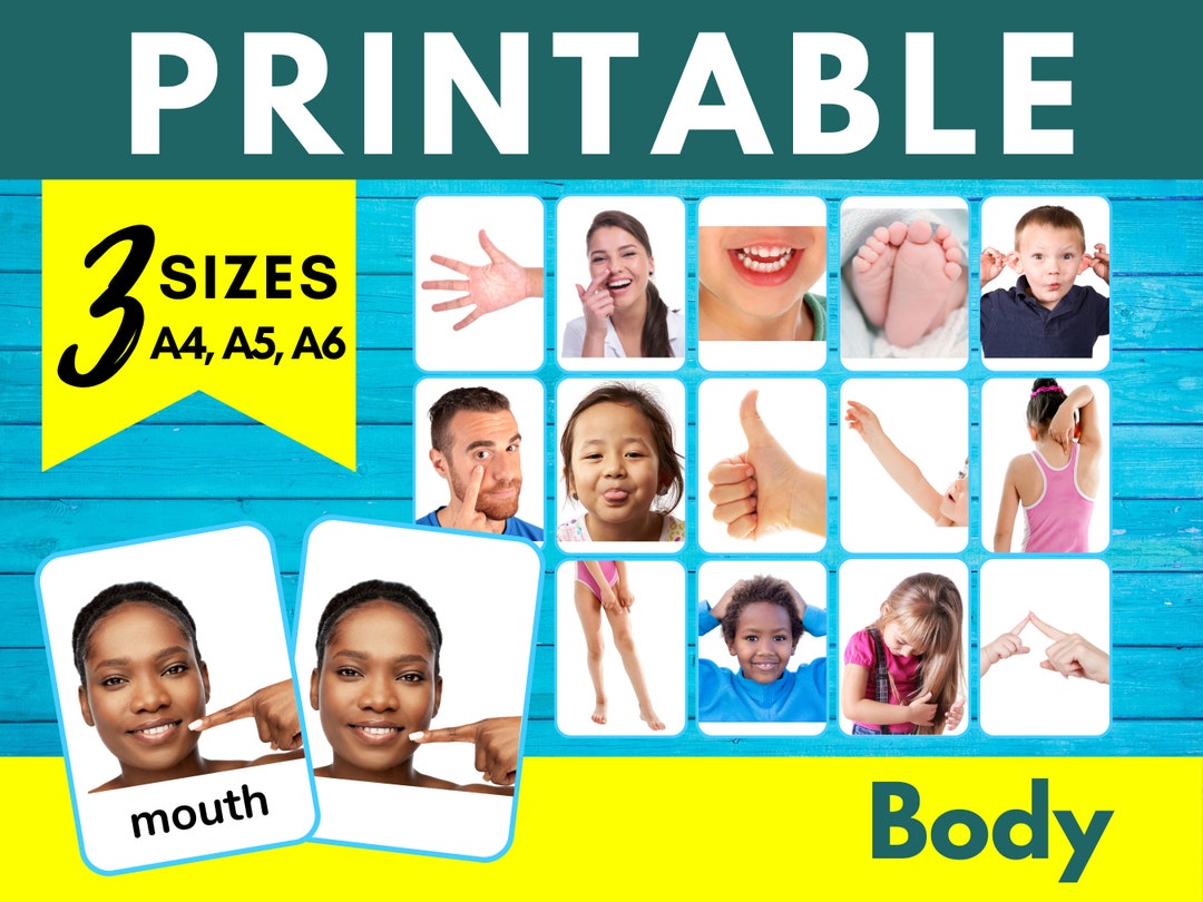 BODY Flashcards Printable Cards Speech Therapy Speech Pathology Toddler ...