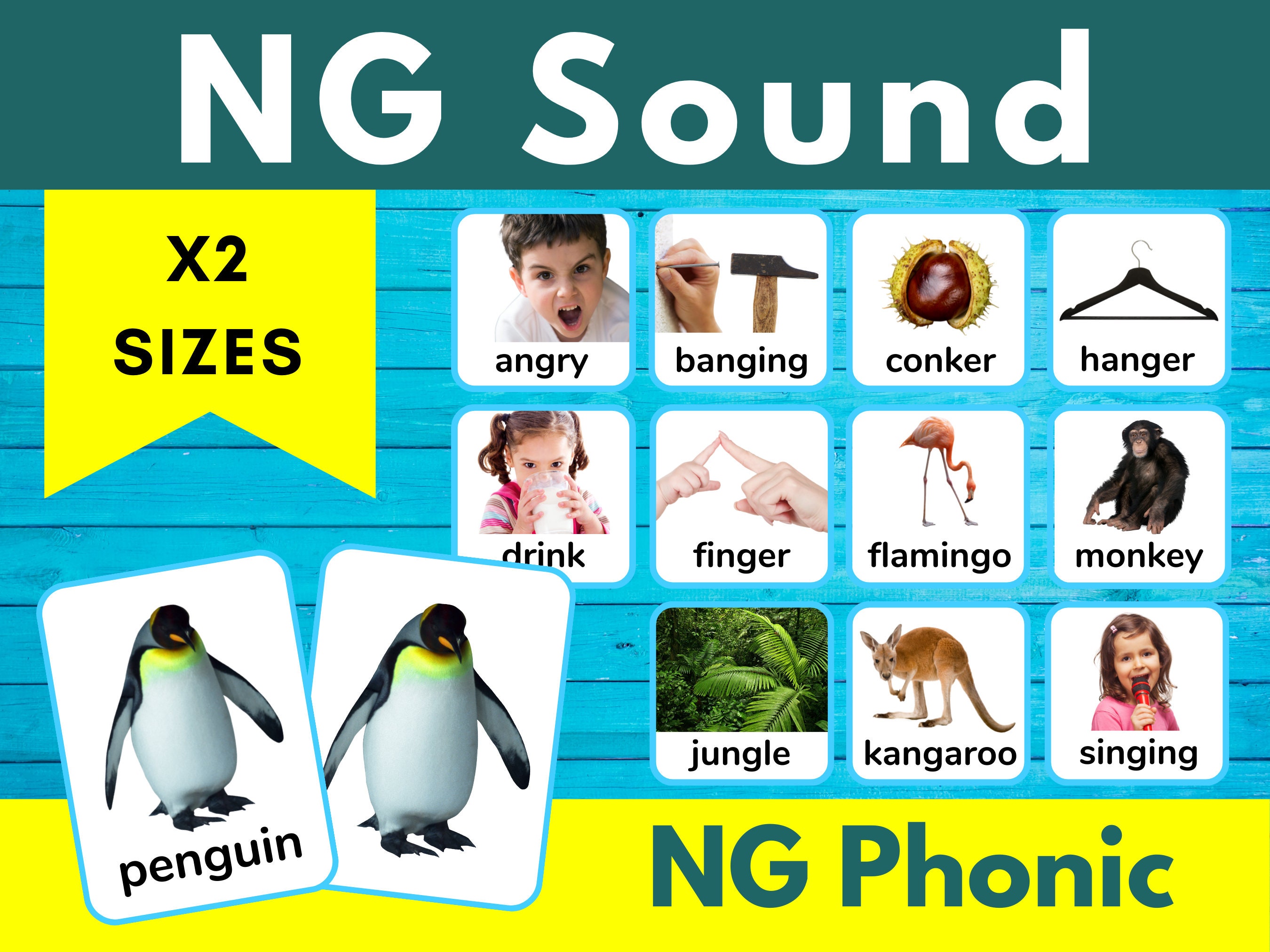NG Phonic NG Sound Printable Speech Sound Cards Phonics Word Lists ...