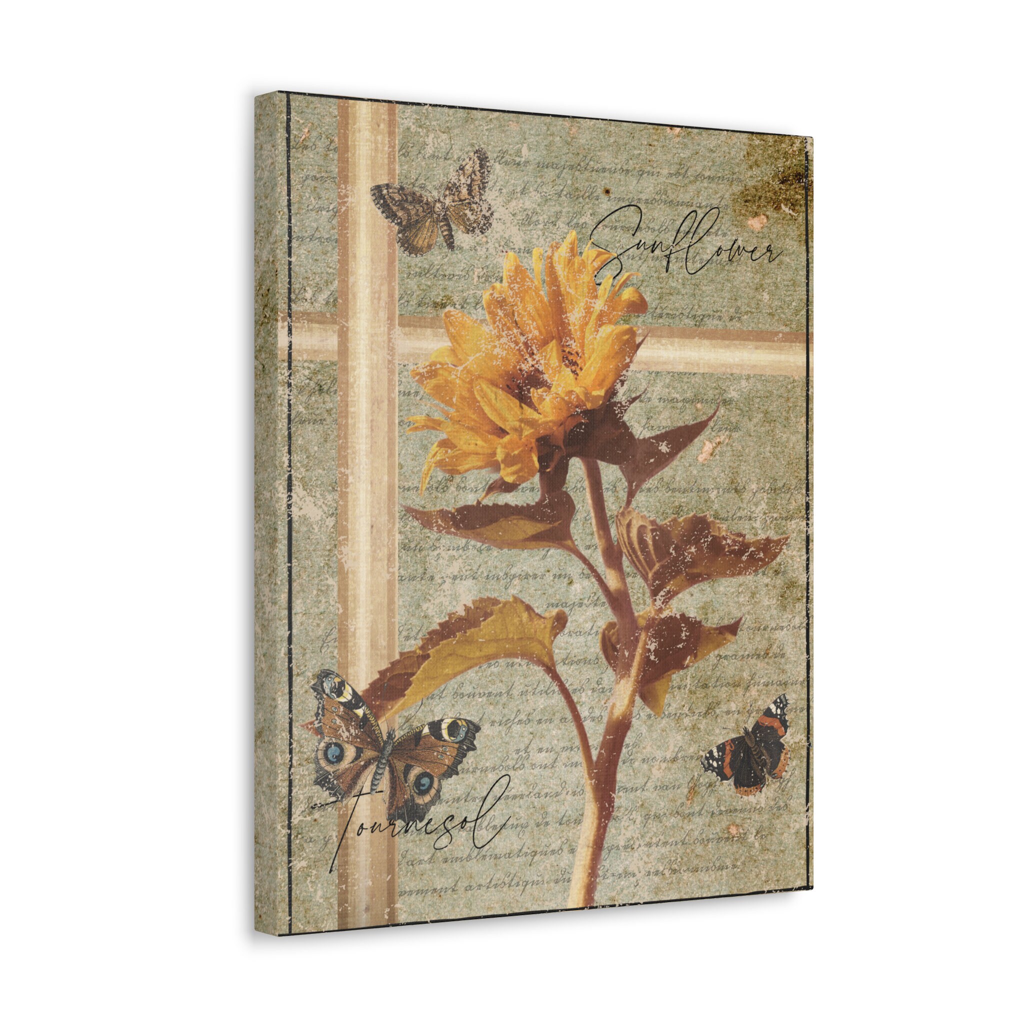 Vintage Sunflower Canvas, Tournesol French Wall Art, Botanical Wall ...