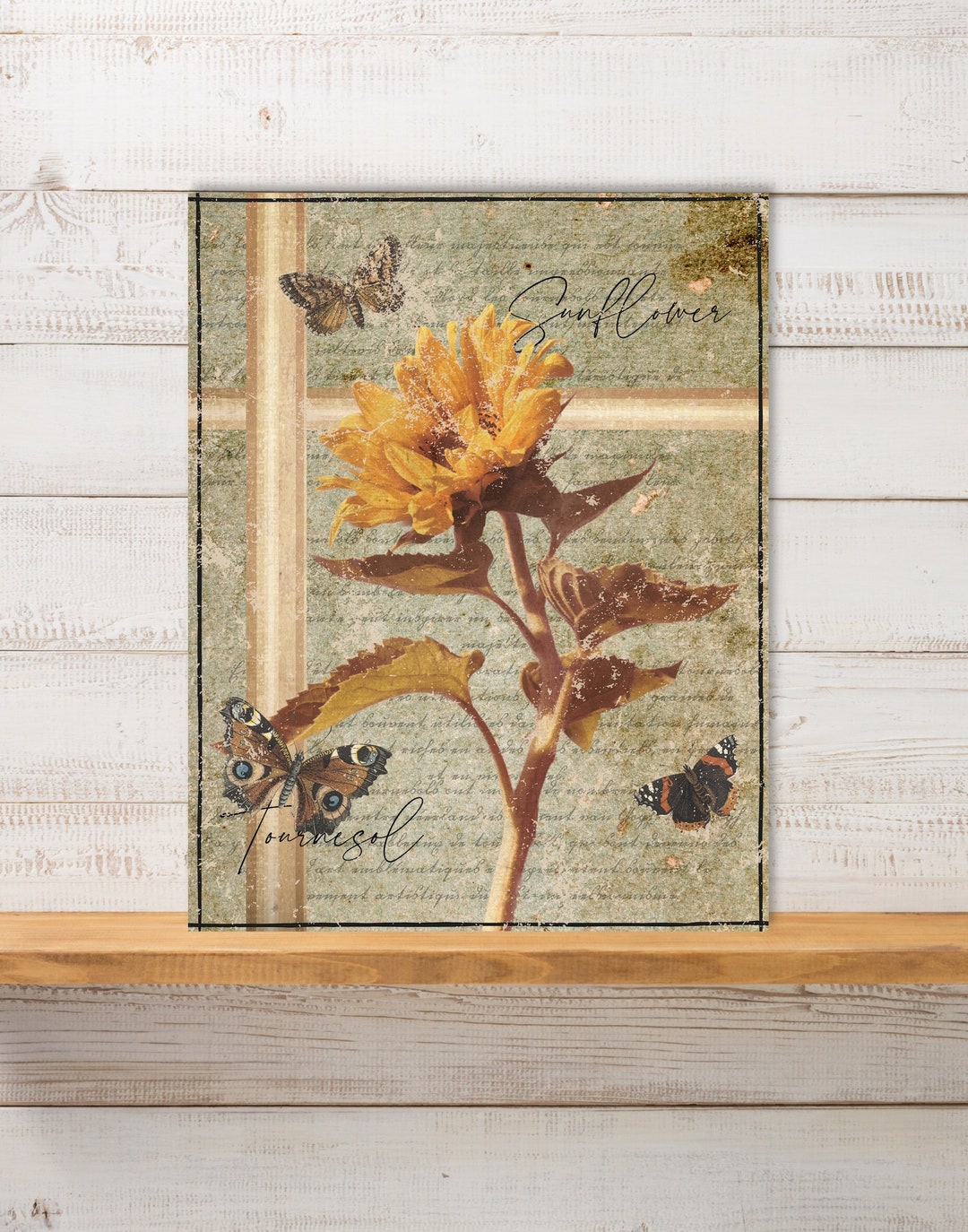 Vintage Sunflower Canvas, Tournesol French Wall Art, Botanical Wall ...