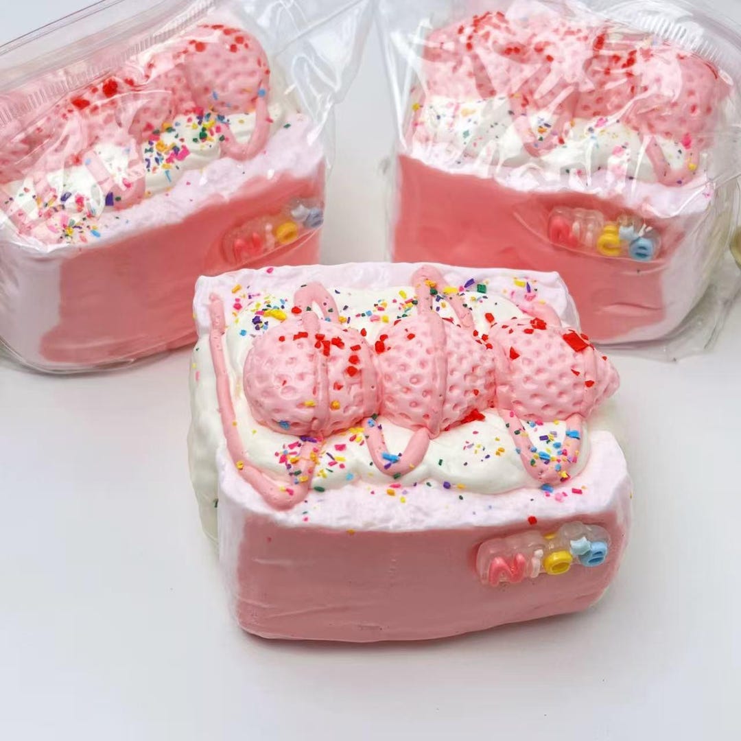 Sandwich Handmade Squishy Toy | Sensory Fidget Stress Balls for Anxiety ...