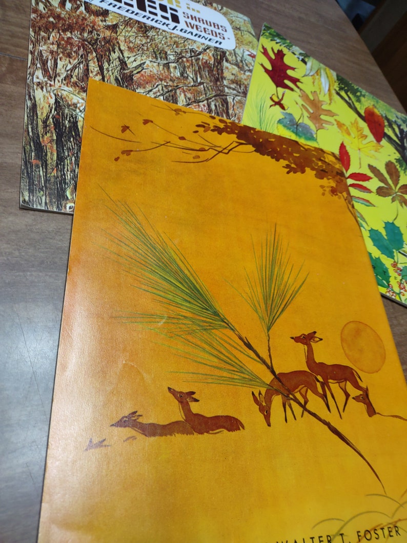 How to Draw Trees, More Trees, and Trees Shrubs Weeds 3 Book Lot by ...