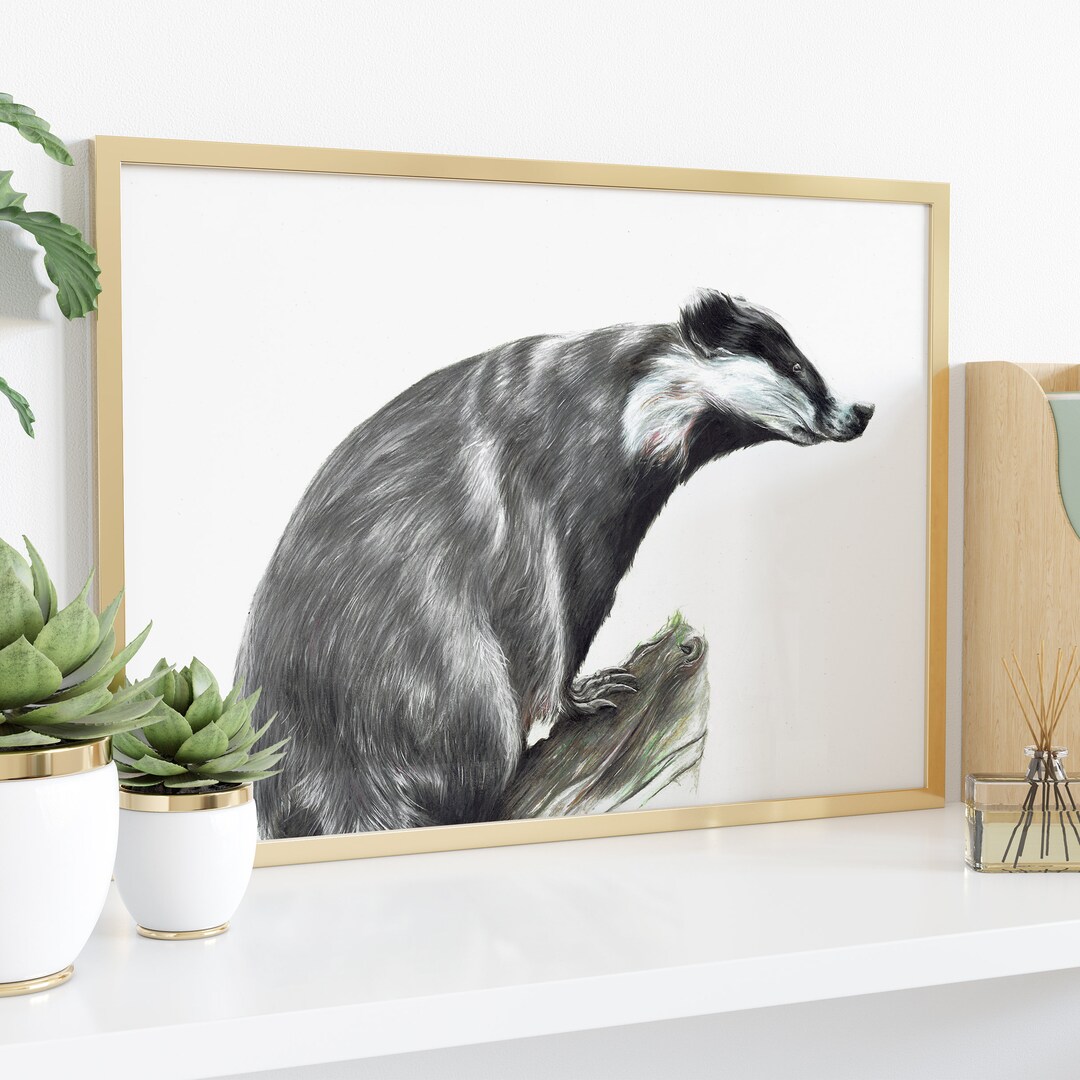 Badger Art Print: Meles Meles Wall Decor - Etsy