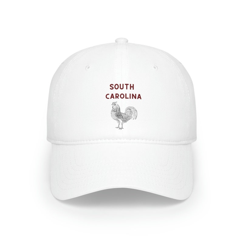 Gamecock Baseball - Etsy