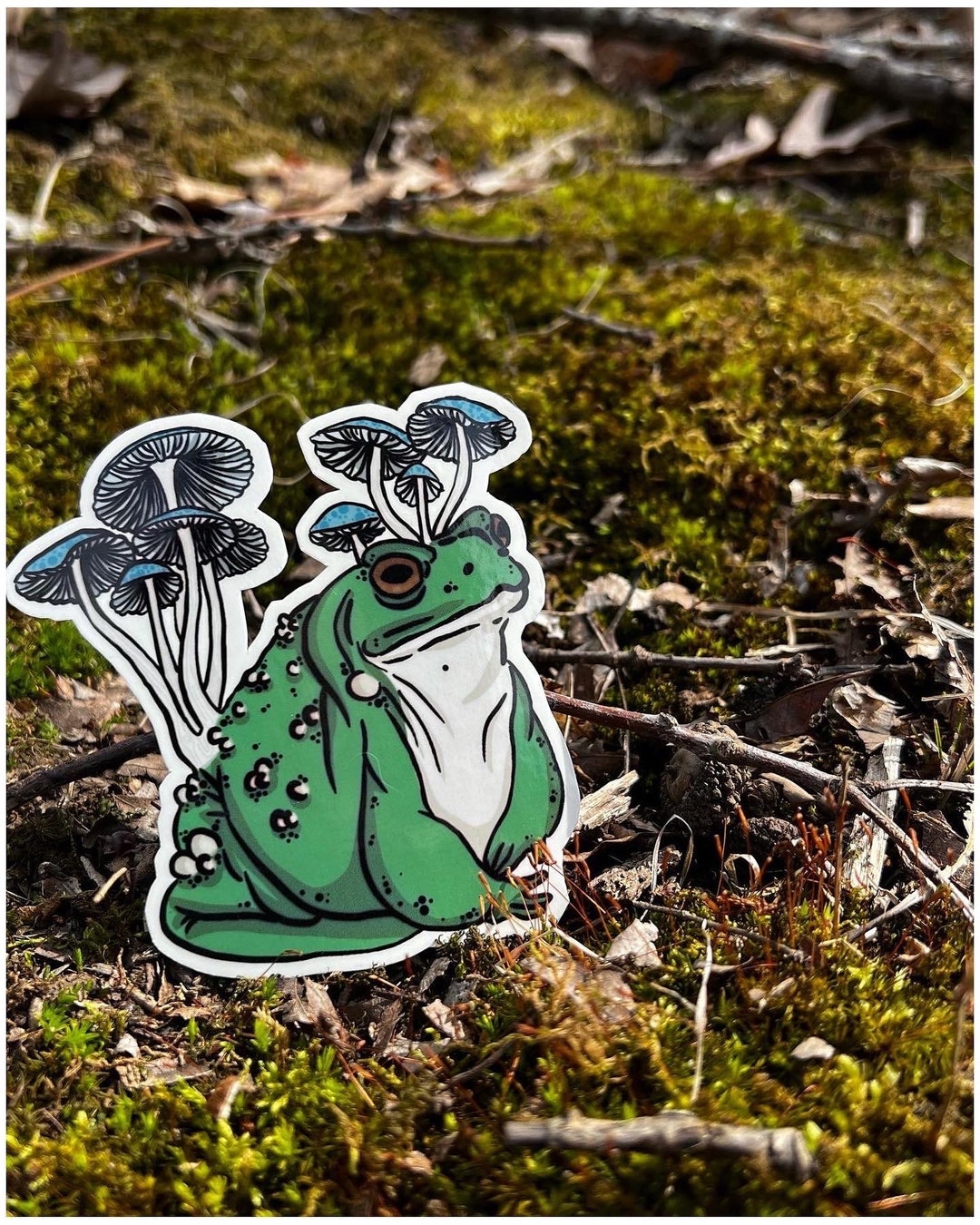 Mushroom Toad Sticker - Etsy