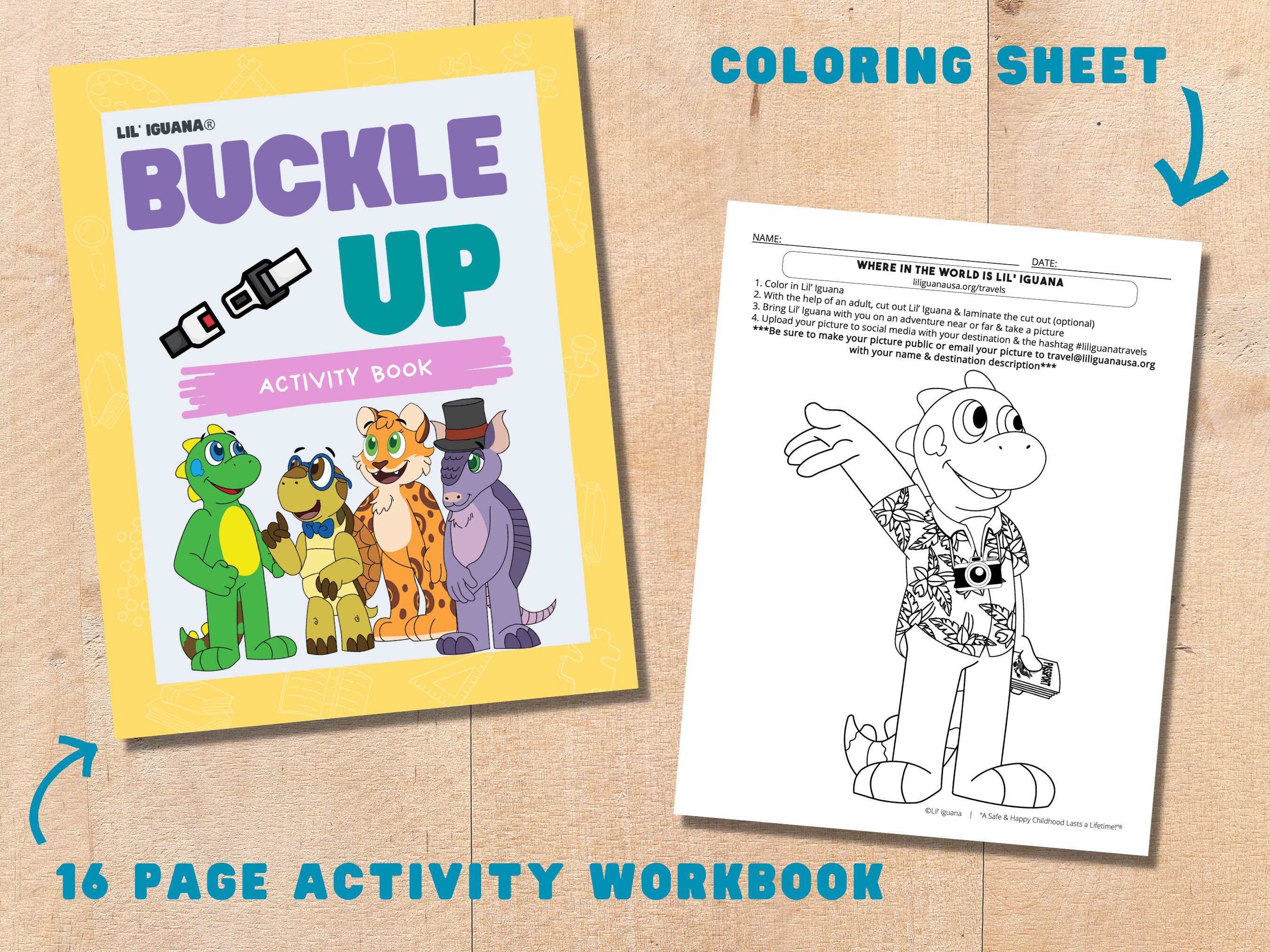 Empowering Learning Seatbelt Car Safety Activity Craft Kit Box Lesson ...