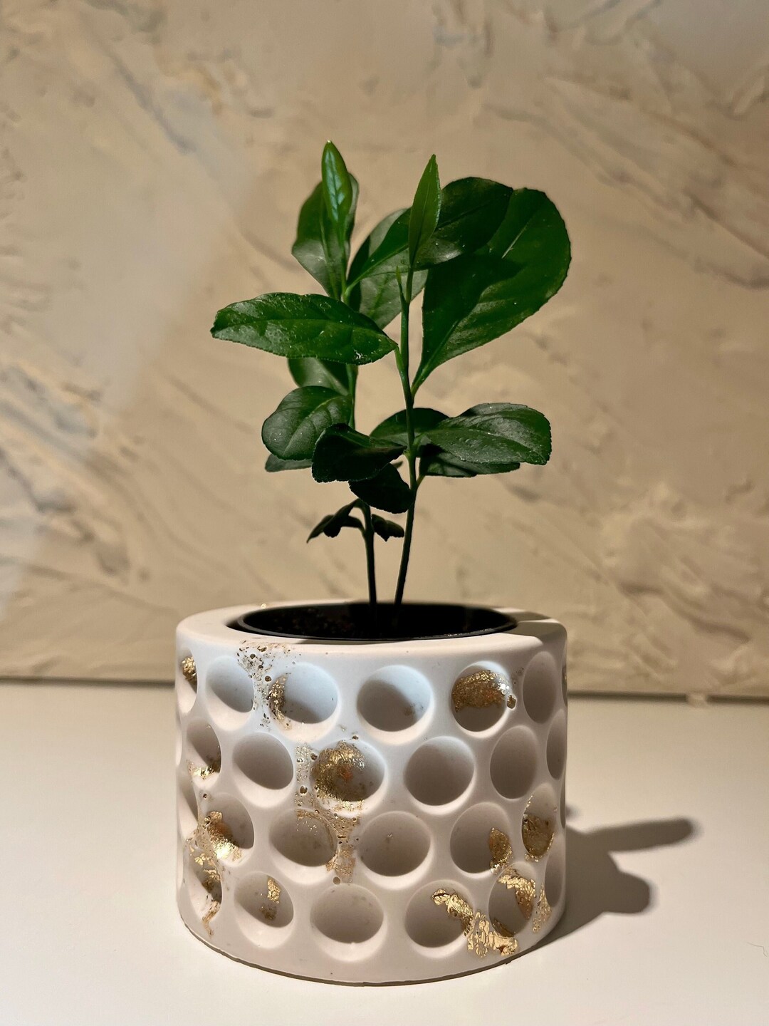 White and Gold Pot Cover, Honeycomb, Honeycomb, Relief, 3D - Etsy