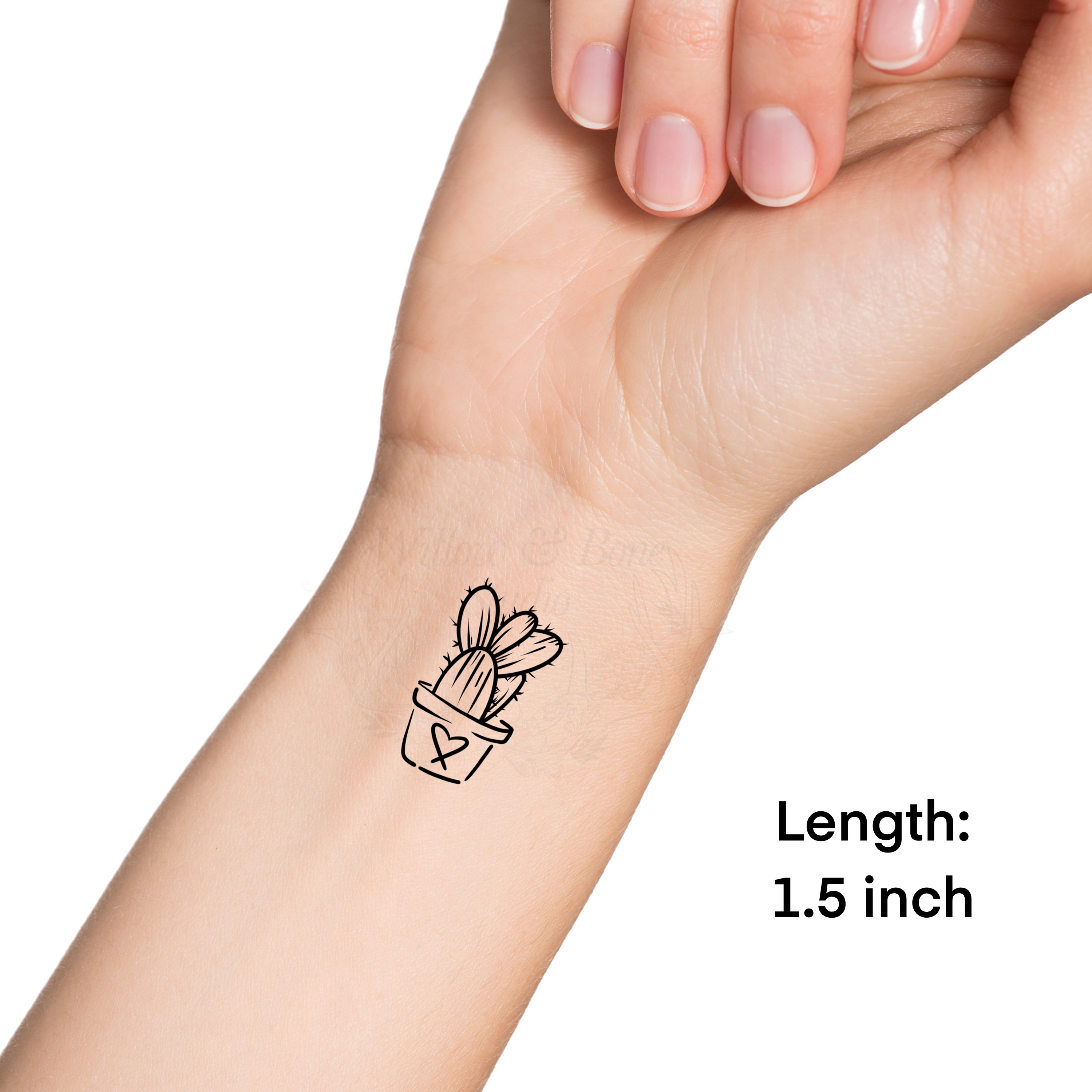 Cactus Plant Heart Outline Temporary Tattoo Cute Potted - Etsy