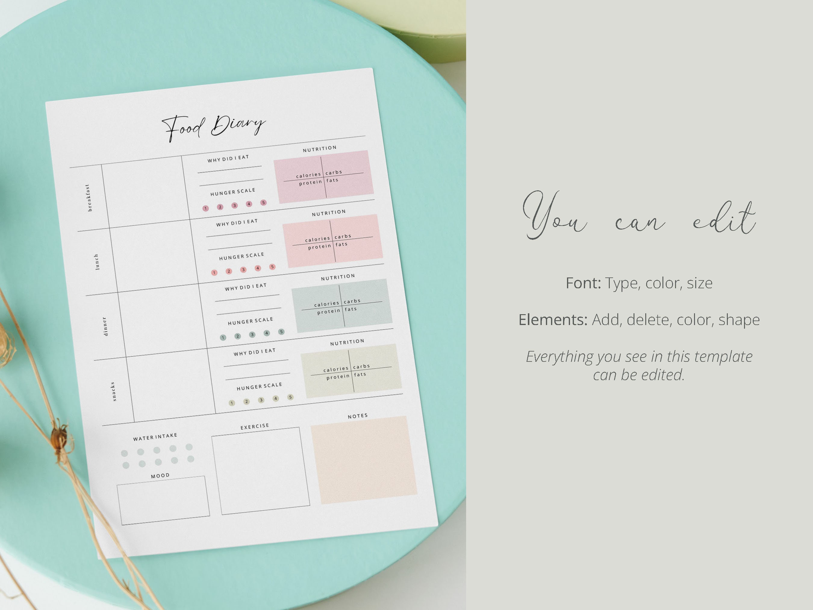 Editable Food Diary A4, US Letter, A5 Canva Template Meal Journal Daily ...