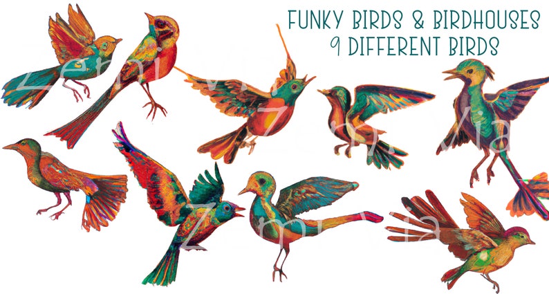 Funky Birds and Birdhouses PNG Instant Digital Download - Etsy