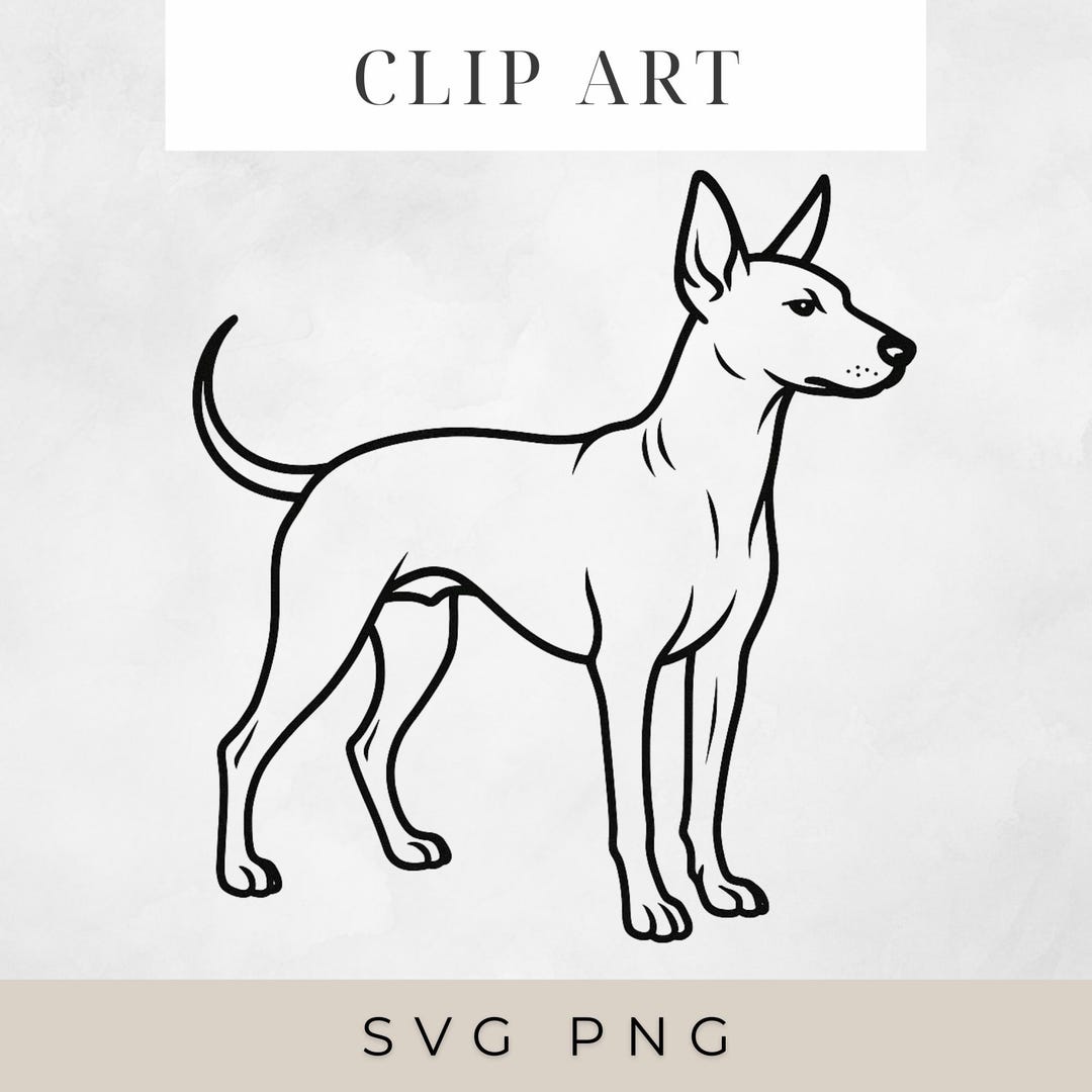 Xoloitzcuintli Dog SVG PNG – Minimalist Mexican Hairless Dog Line Art ...