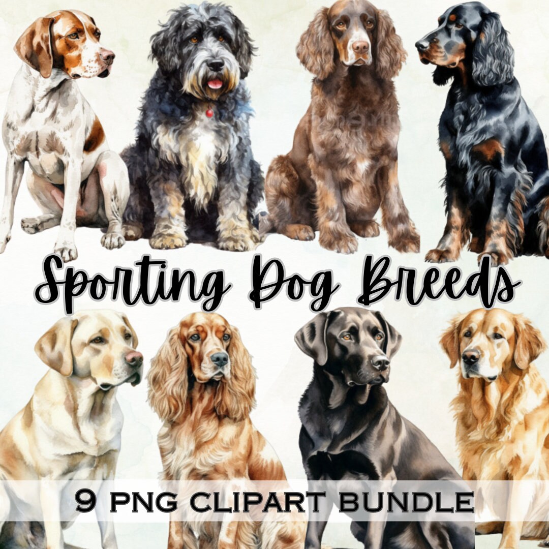 Dog Breed Clipart, Watercolor Dog Clipart, Cute Dog Clipart, Dog Breeds ...