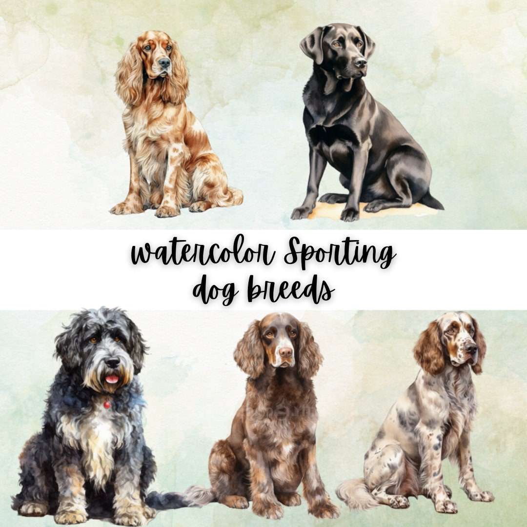 Dog Breed Clipart, Watercolor Dog Clipart, Cute Dog Clipart, Dog Breeds ...