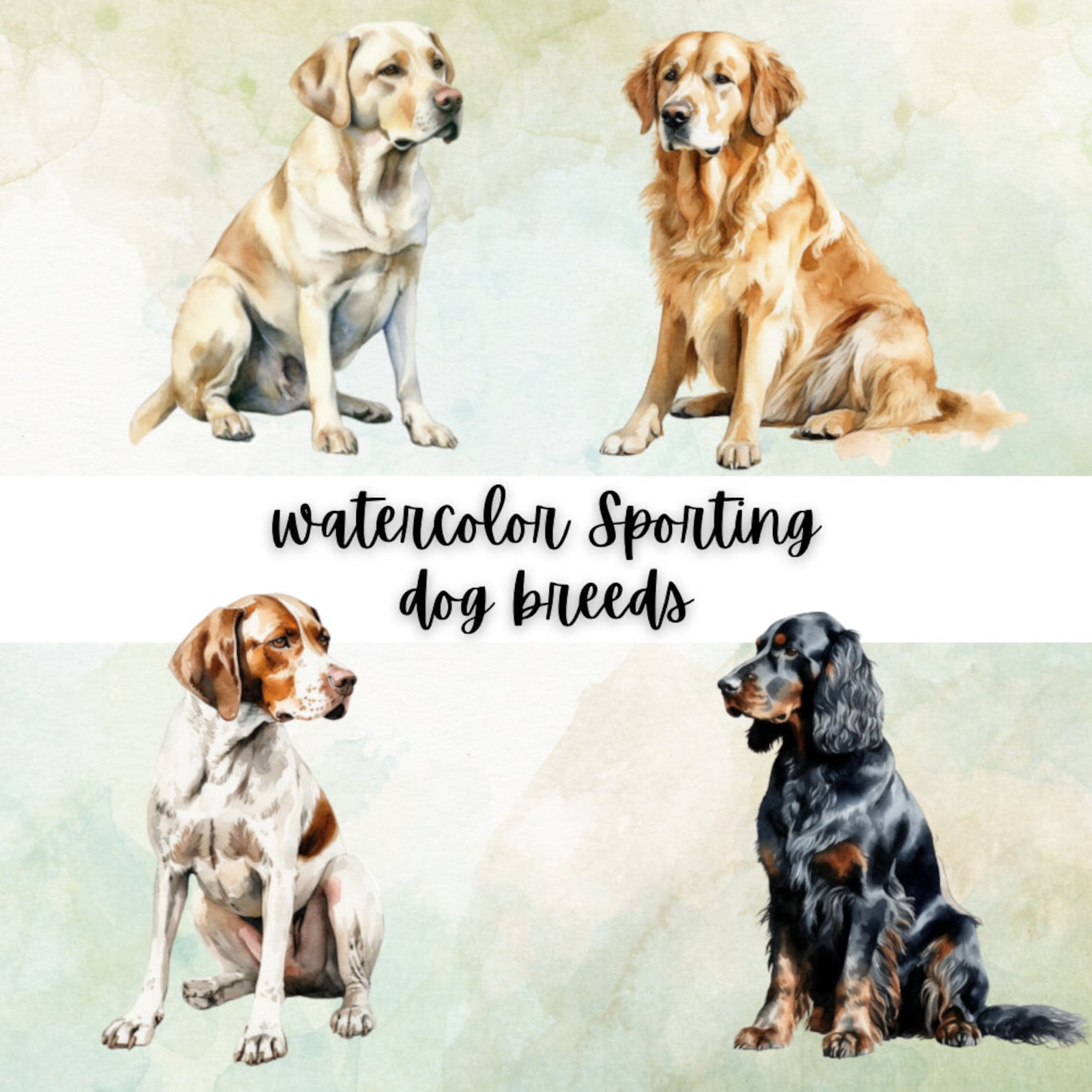 Dog Breed Clipart, Watercolor Dog Clipart, Cute Dog Clipart, Dog Breeds ...