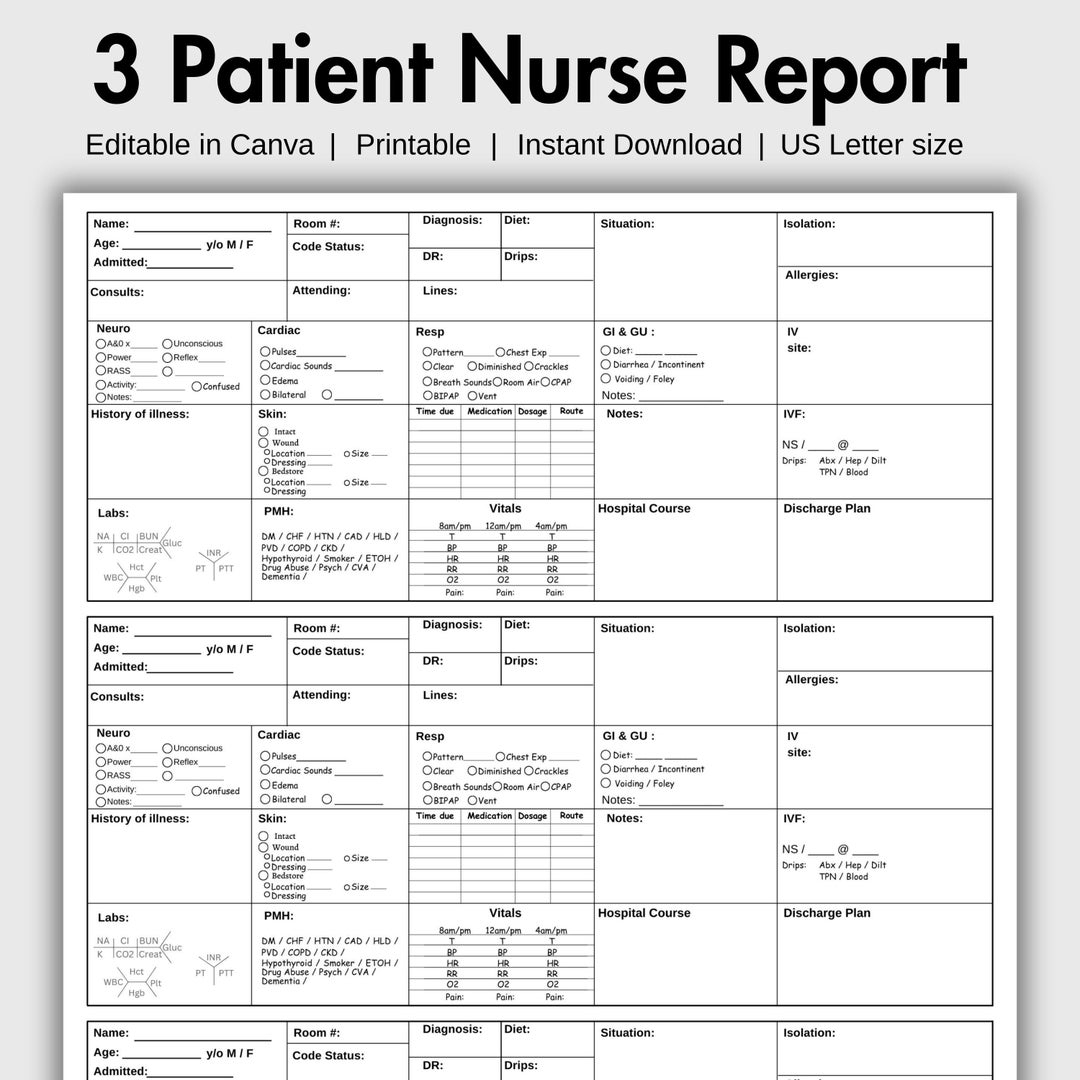 3 Patient Report Sheet Editable Patient Report Sheet Nurse Brain Sheet ...