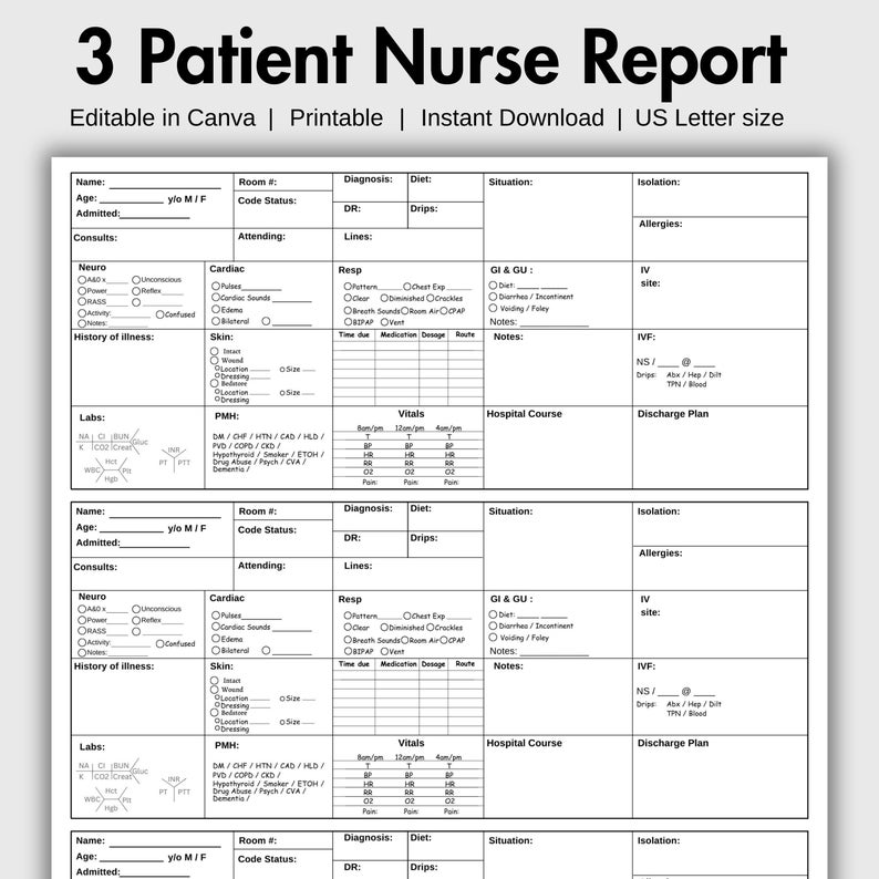 3 Patient Report Sheet Editable Patient Report Sheet Nurse Brain Sheet ...